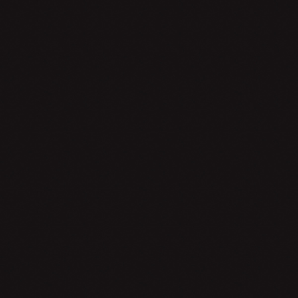 EGGER Black U999 PT Sample | ForestOne